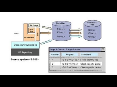 @sapbasishana SAP CLIENT COPIES(EXPORT-IMPORT) - YouTube