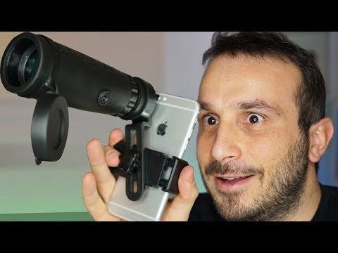 HONG KONG'TAN GELEN ACAYİP ÜRÜNLER | AT YA DA ÖP