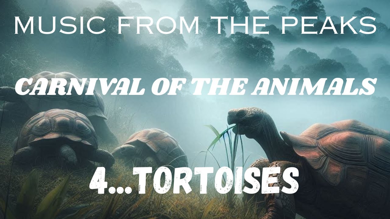 MUSIC FROM THE PEAKS...CARNIVAL OF THE ANIMALS...Tortoises. - YouTube