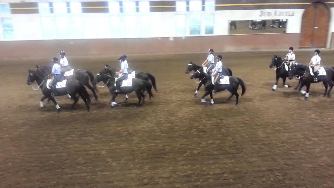 Wyatt practicing before the Culver Parade - YouTube