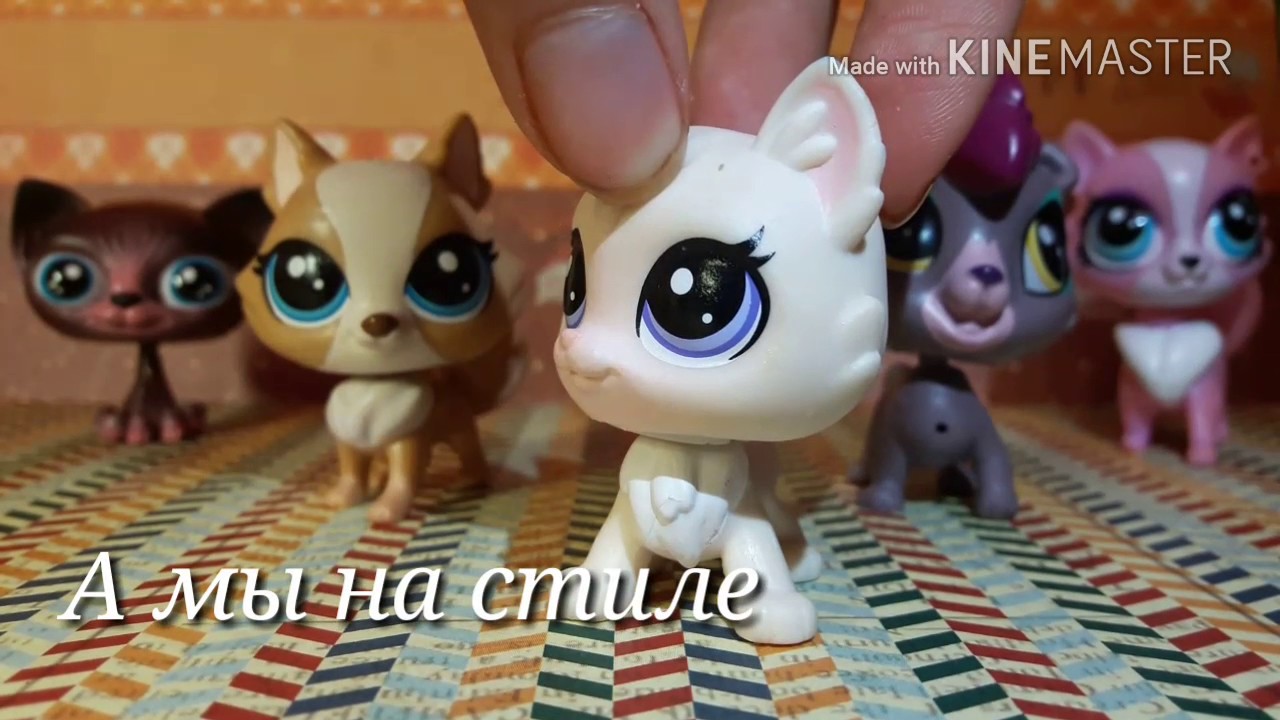 НА конкурс Ammy and Sofia LPS - YouTube