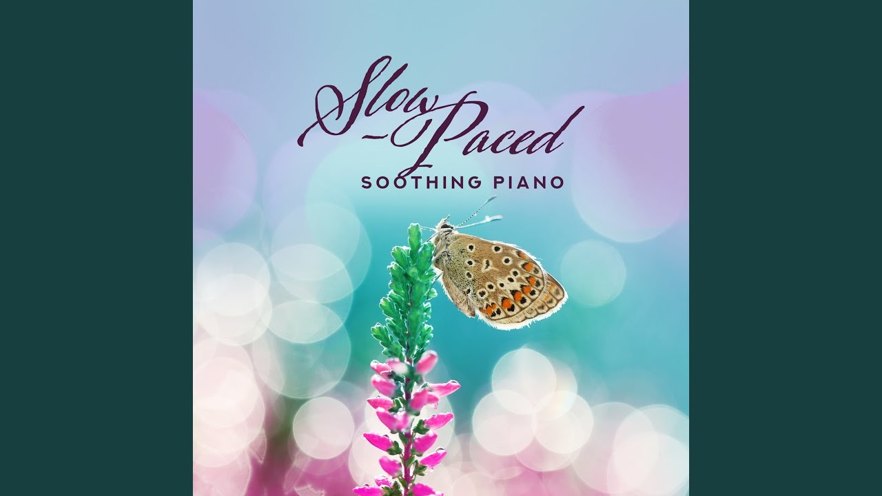 Soft Sounds - YouTube