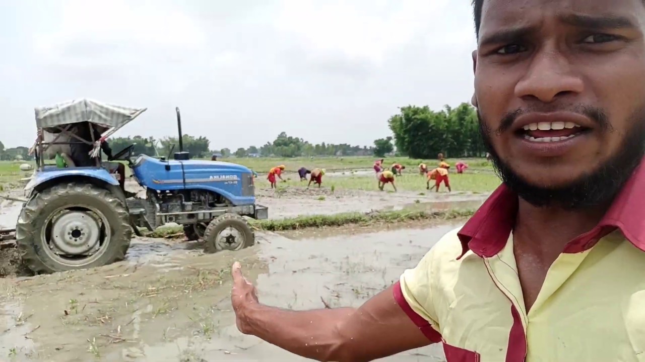 A Day tour to Dhan khet | Rice Farms | Season 1| Episode 1| Sajjad Alam ...