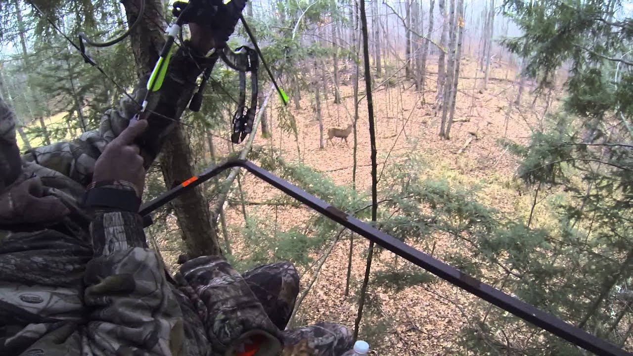 Double Buck Archery Hunt - YouTube