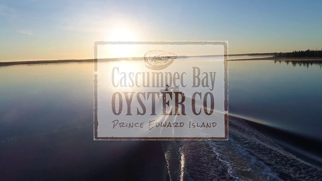 YOU’RE GOING TO LOVE OUR OYSTERS | Cascumpec Bay Oyster Co | Prince ...