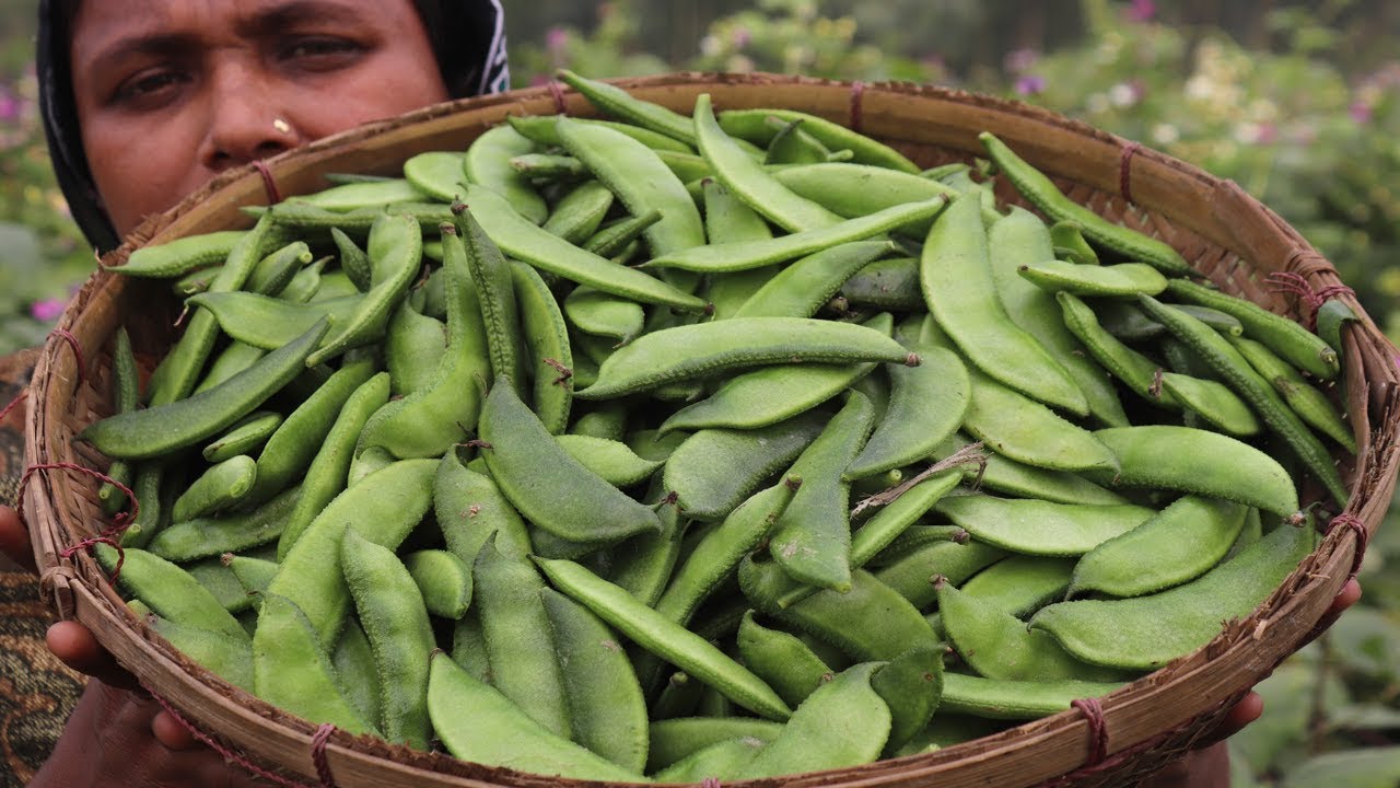 Village Food Farm Fresh Bean & Potato Recipe village style Delicious ...