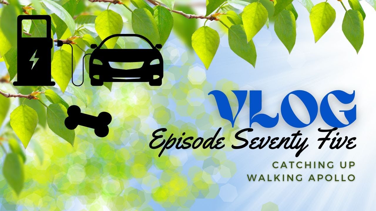 Vlog: Episode Seventy Five - Catching Up #diamondpainting #vlog - YouTube