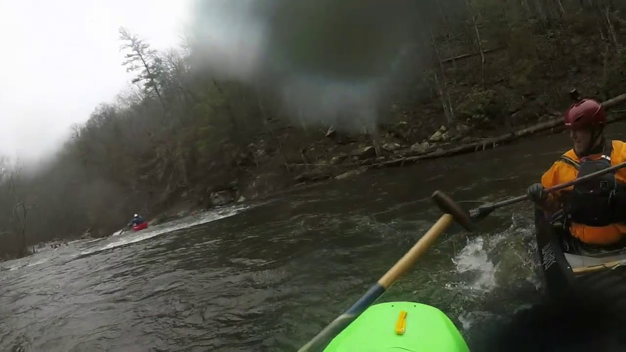 ALF OUT Race 2020 - YouTube