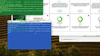 Get Started with Jupyter and Begin Coding! – SynthMind