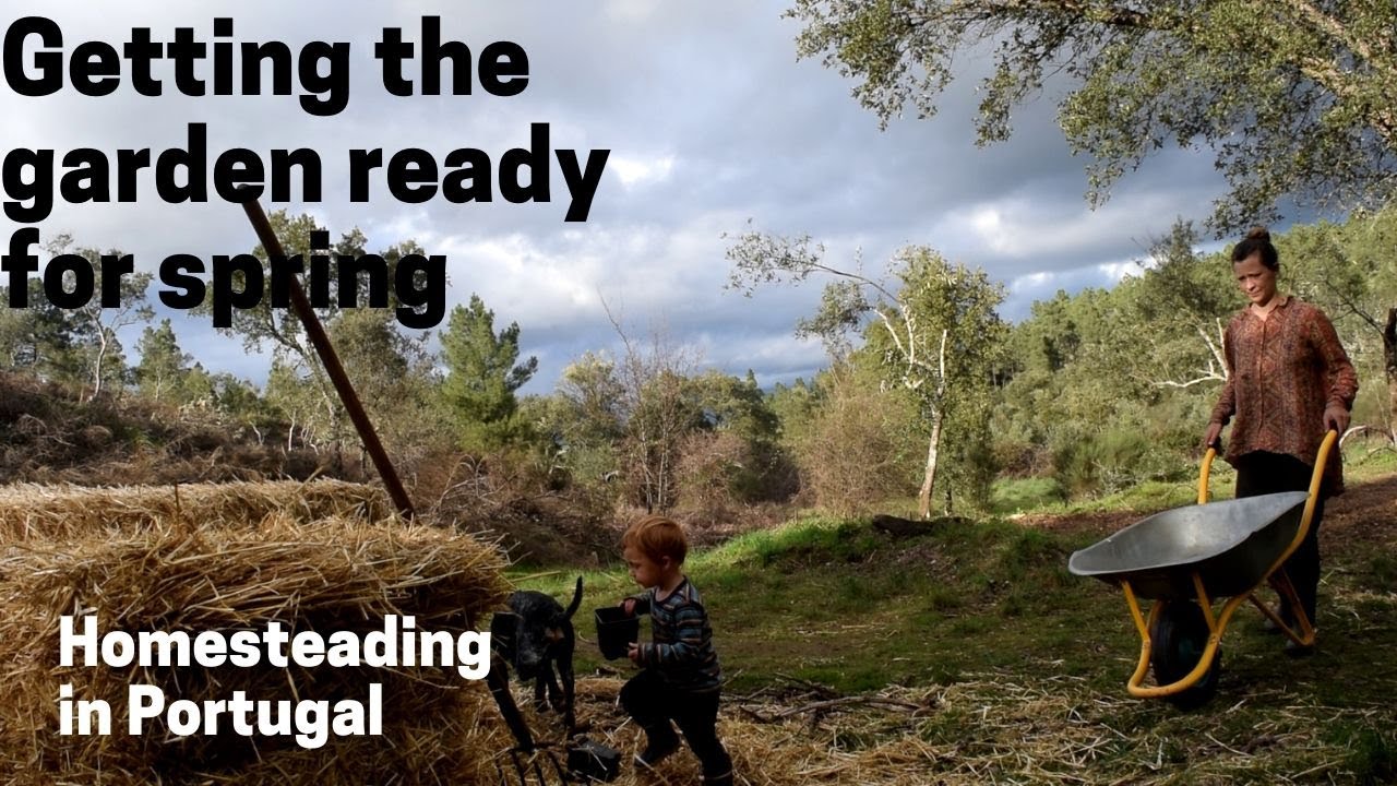 Getting the garden ready for spring - Beginner gardener Portugal ...