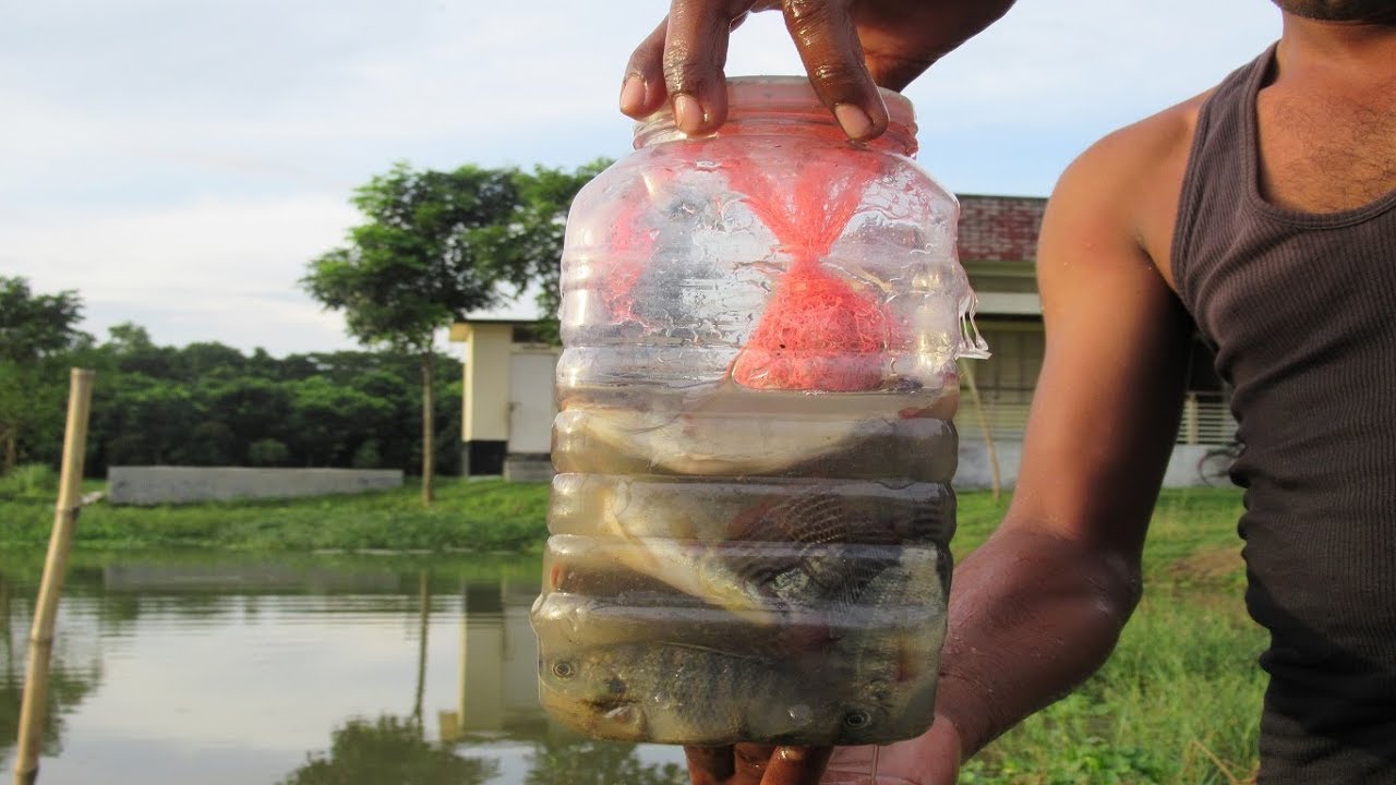 Amazing Man Catching Fish With Plastic Bottle Fish Trap | New Fishing ...