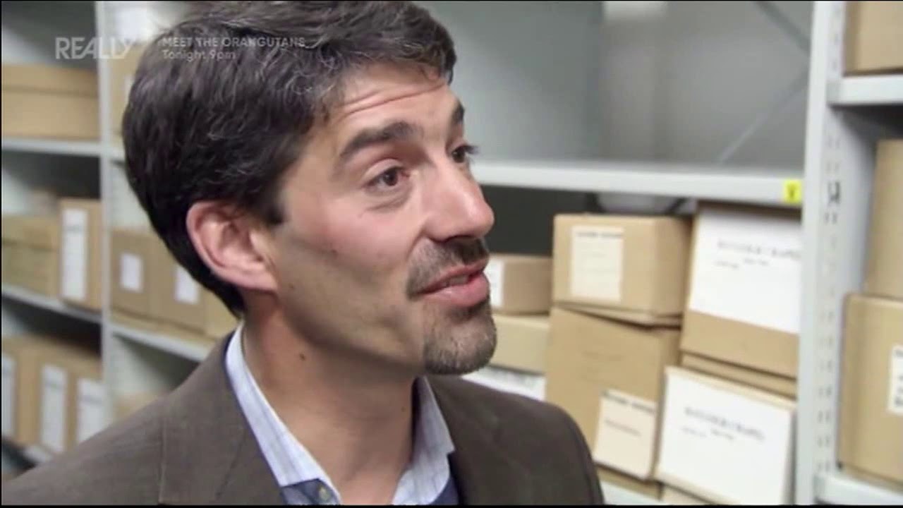 The History of Radios 1930S To 1961 the Company Last for 30 Years Based ...