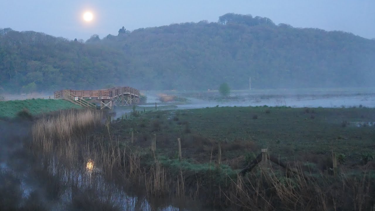 Calstock Wetlands, Dawn, Easter Sunday, 17th April 2022 - YouTube