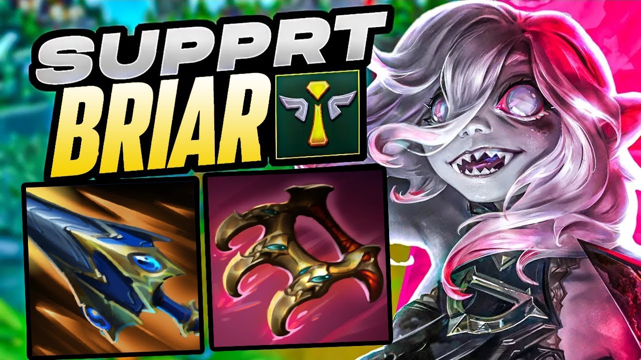 The MOST FUN Briar SUPPORT Build EVER! MOST DAMAGE TAKEN - YouTube