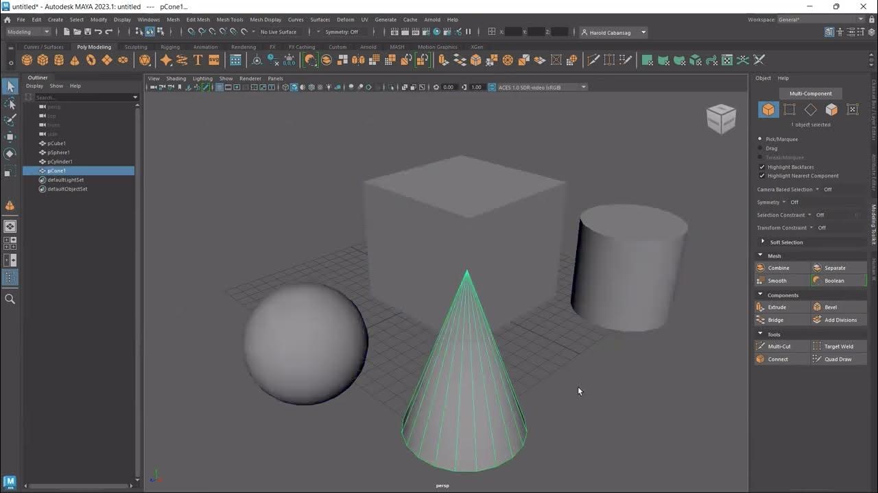 MAYA Module 1: Character Base Mesh Modeling - Creation and Navigation - YouTube