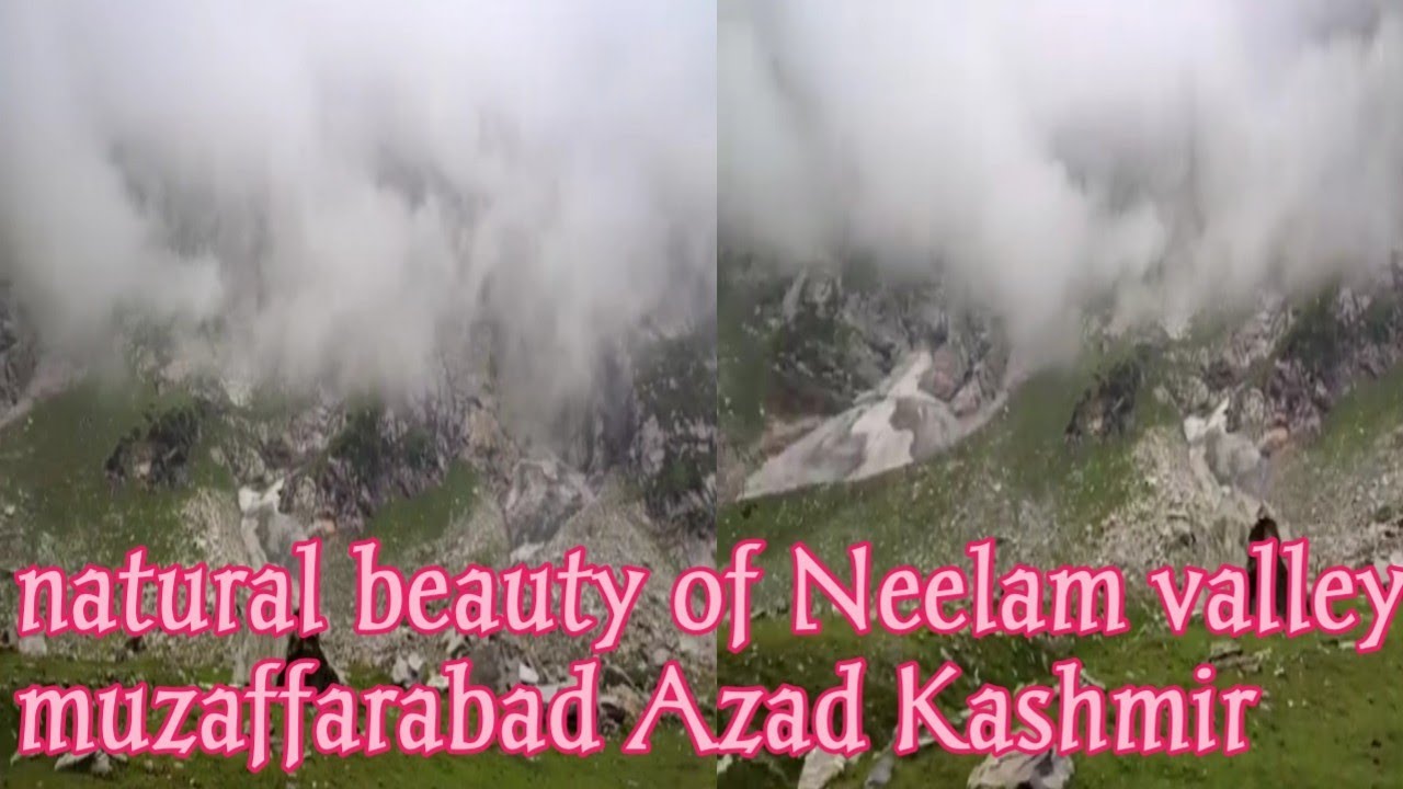 Natural Yellow Flowers Of Neelam Velley Muzaffarabad Azad Kashmir ...