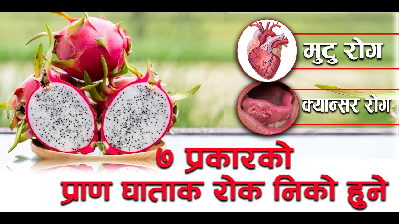 Dragon Fruit in Nepal || यो फलले प्राण घातक रोग निको हुने || छोटो ...