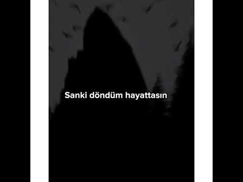 keşke seni seviyorum diyecem kadar cesaretim olsa