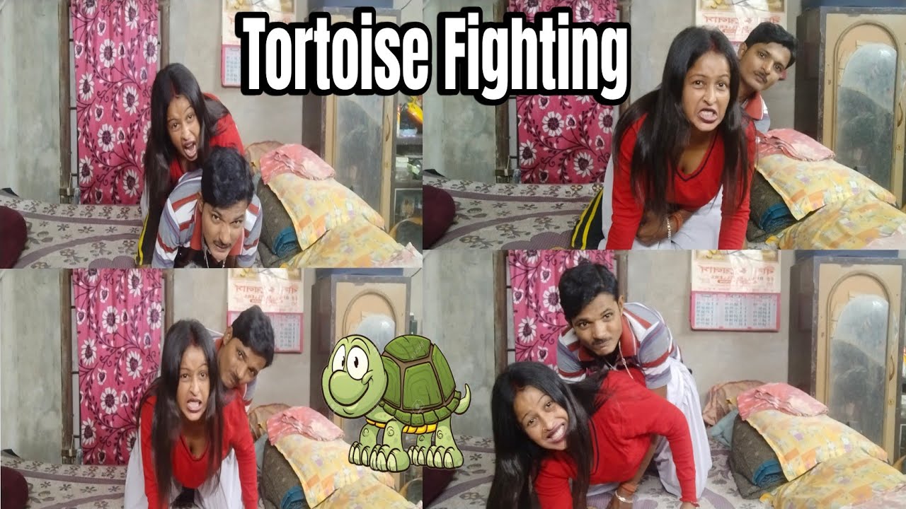 Tortoise 🐢 Fighting Challenge Video // Funny video // Husband VS Wife ...