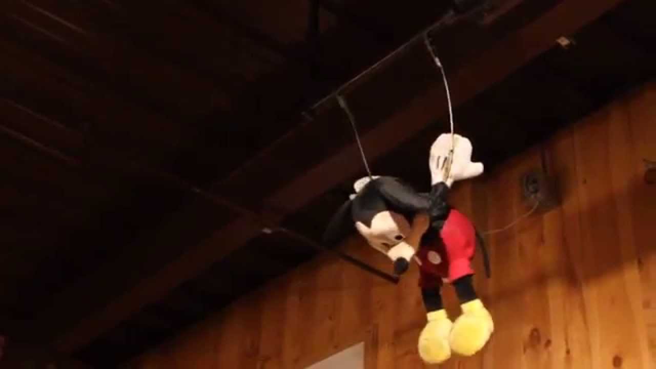 MICKEY MOUSE ON THE TRAPEZE FROM STEW LEONARD'S STORE - YouTube