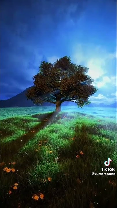 مناظر طبيعية 4k - YouTube