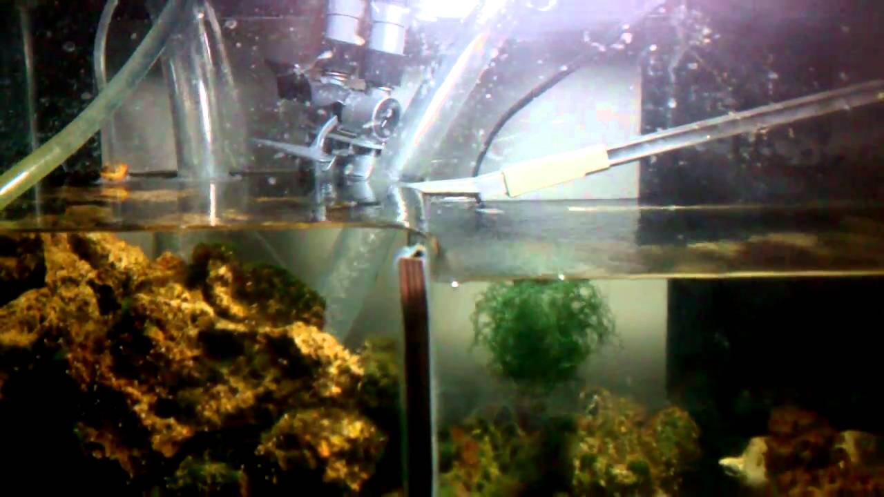 30 Gal. DIY sump/refugium - YouTube