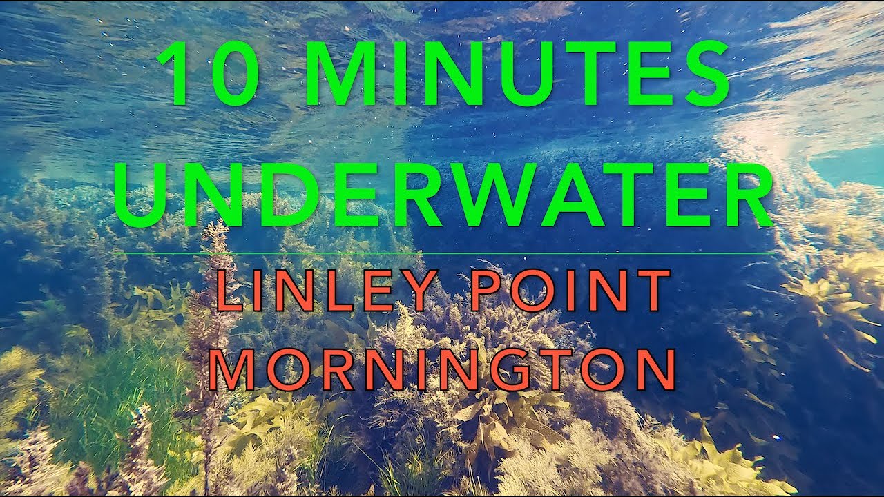 10 Minutes Under 💧 Linley Point Mornington Port Phillip Bay - YouTube
