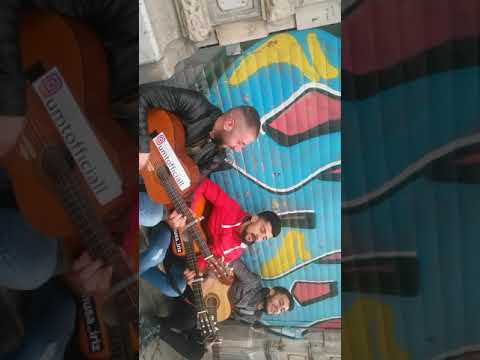 Kürtçe halay 1