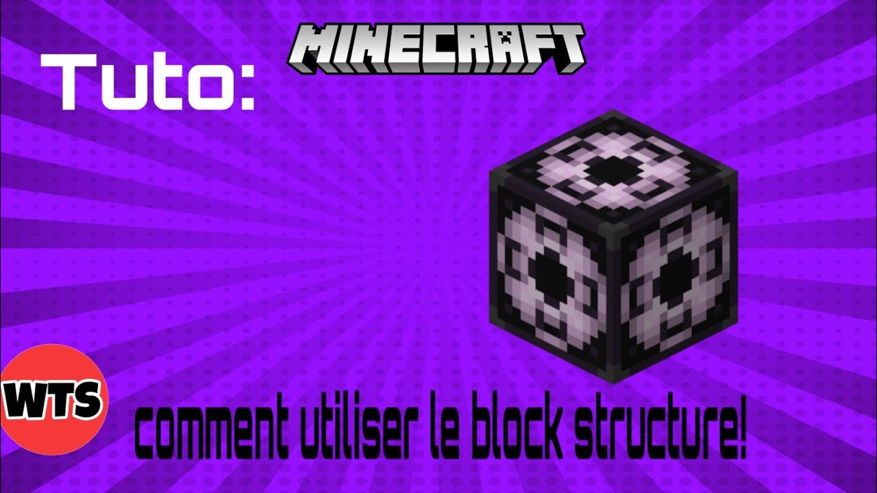 Comment utiliser les blocks structure sur Minecraft-whatsup sach - YouTube