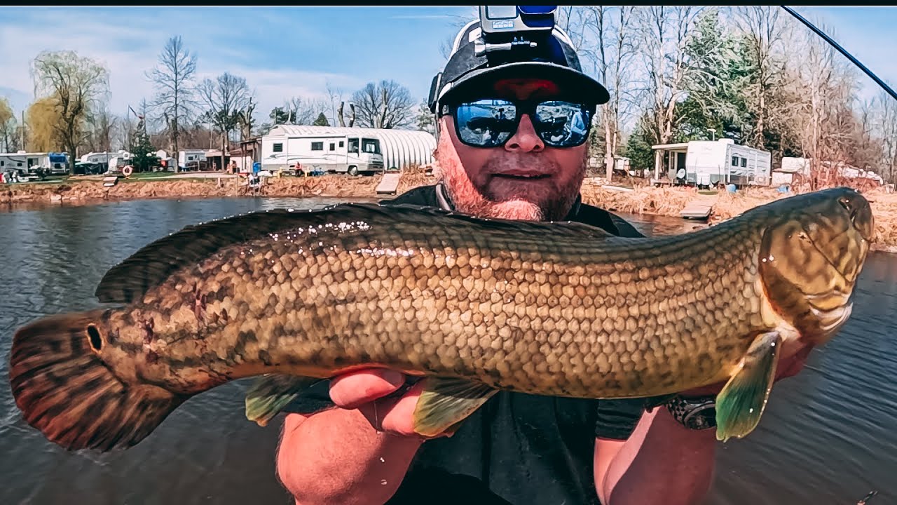 Catching GIANT BOWFIN and CRAPPIE! - YouTube