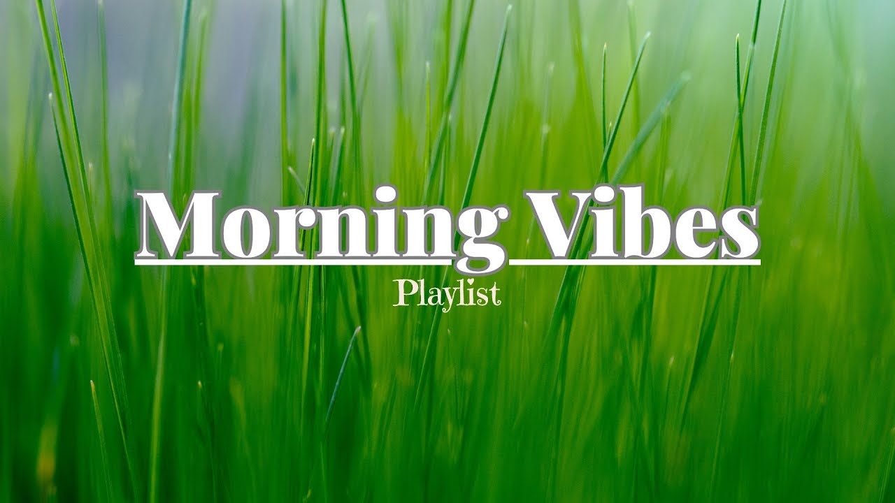 Morning vibes: productive morning music that makes you alive! Playlist ...