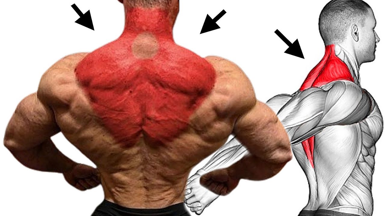 trapezius workout - traps workout at gym - YouTube