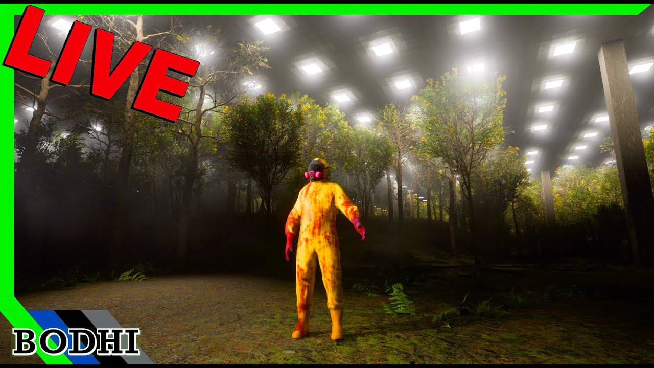 Liminal Spaces LIVE with Bodhi Werner - Short Film talk & BOOK READING - YouTube