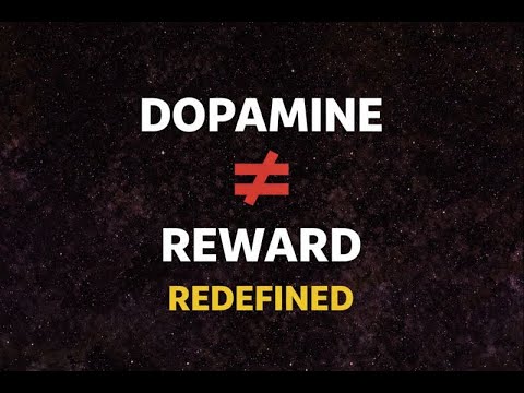 Dopamine Isn’t What We Thought — New Neuroscience Study Explained - YouTube