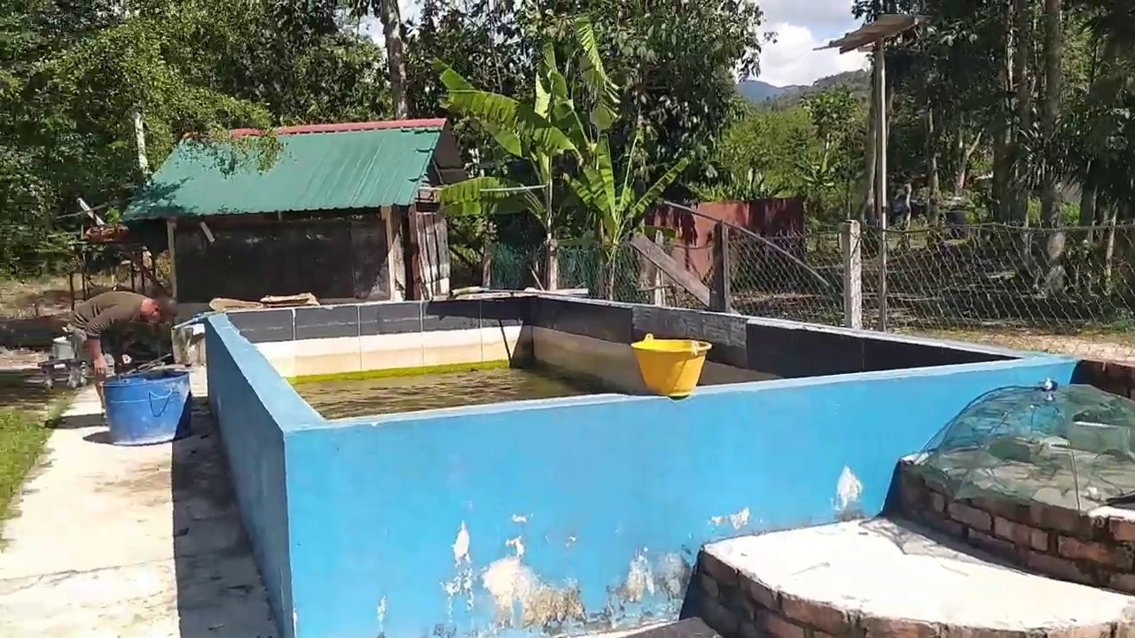Kemasukan Pacu 8/01/2020 KPAK II - YouTube