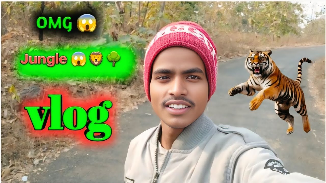 jungle me tiger dikh gaya 😲 my vlog banate time tiger aa gaya #vlogvideo - YouTube