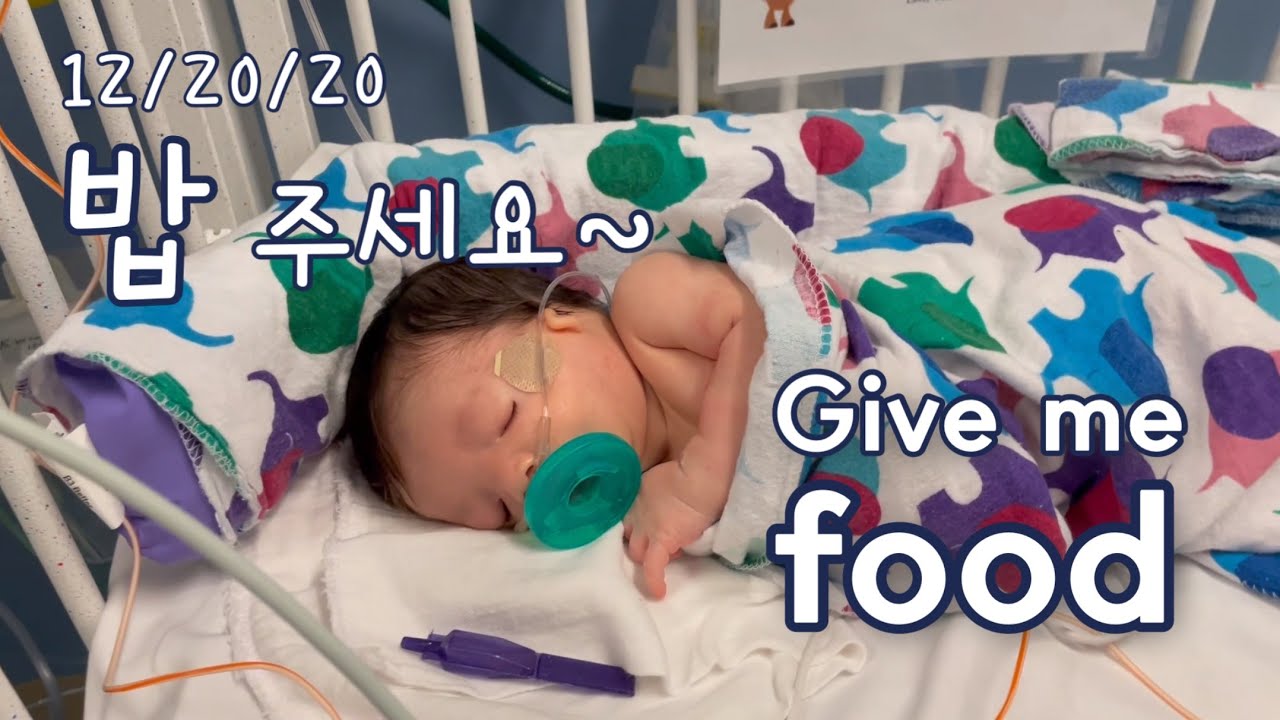 12/20/20 Give me food 밥 주세요 - YouTube