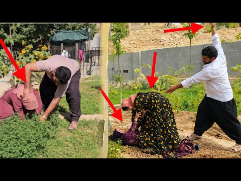 Maryam ve Yalda'nın hararetli tartışması: Üstad'ın gelmemesinden kim sorumlu? 🤷
