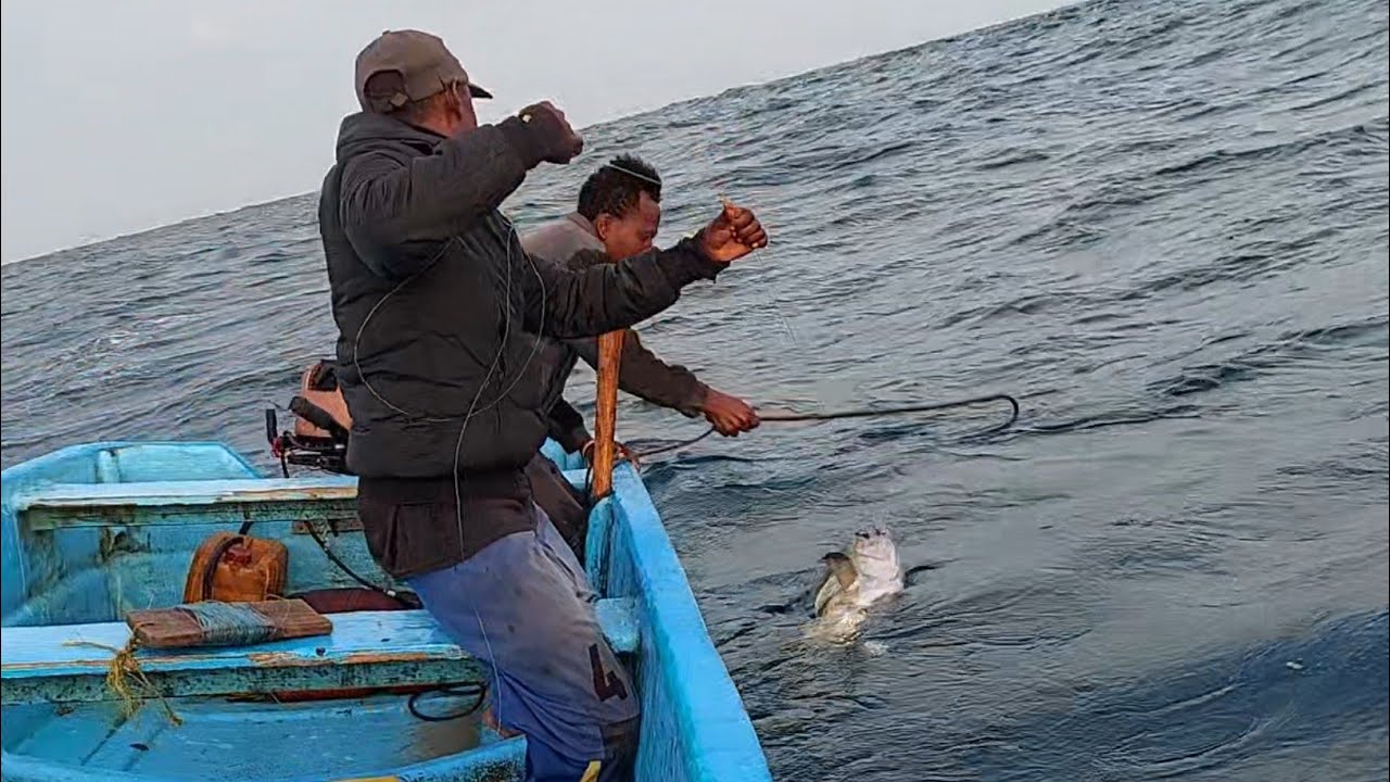 HOW TO CATCH A TUNA FISH AMAZING FISHING VIDEOS IN INDIAN OCEAN SEA ...