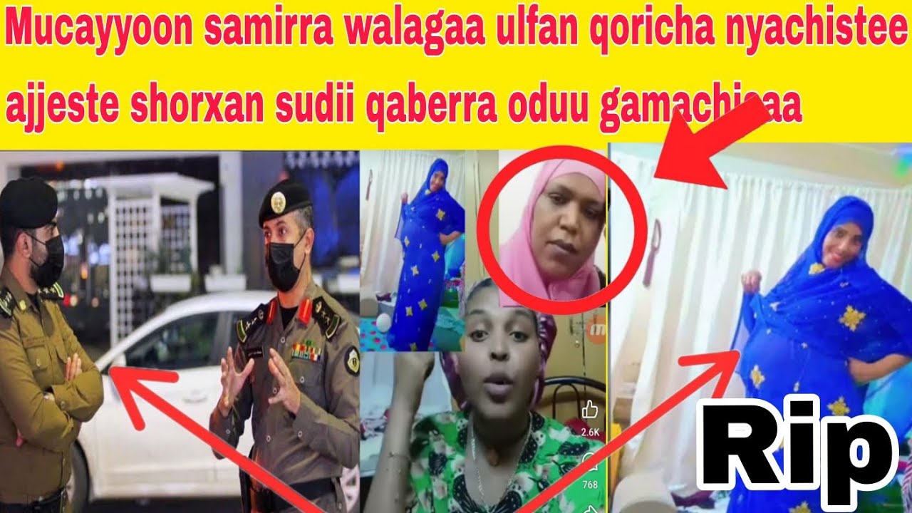 Oduu gamachisaa mucayyoon samirraa walagaa qoricha nyachiste ajjeste ...