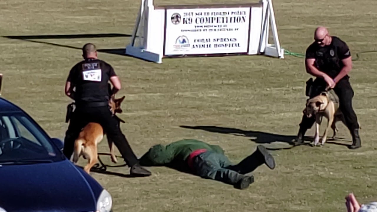 2019 South Florida k9 Competition pt3 - YouTube