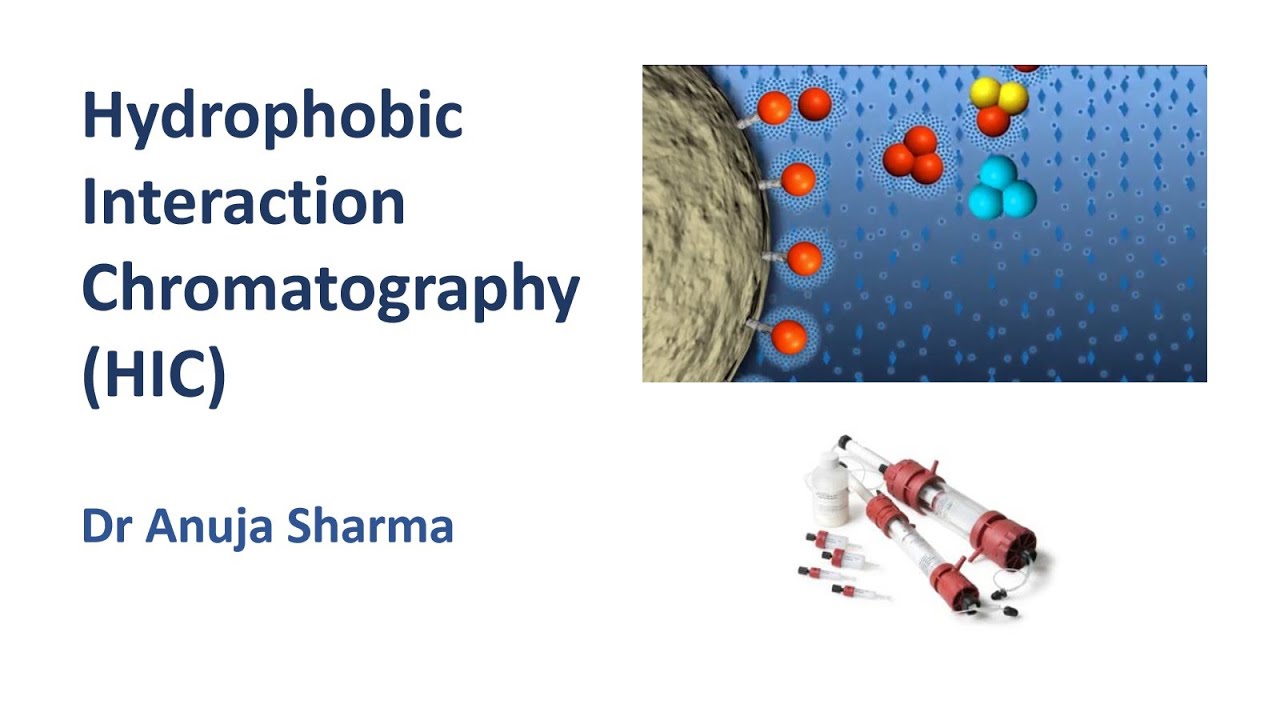 #VG II Unit 13 - Lec 5 II Hydrophobic Interaction Chromatography ...