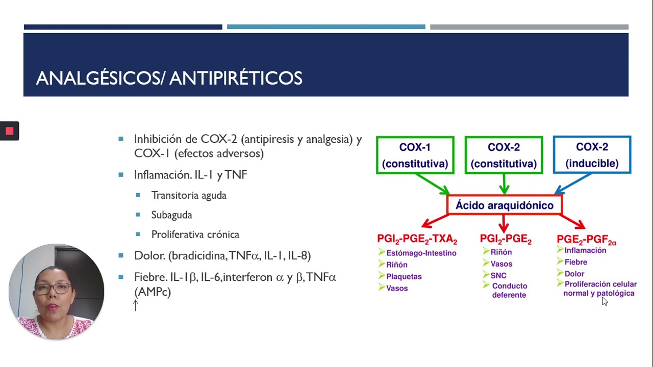 Ciclooxigenasa 1 y 2 - YouTube