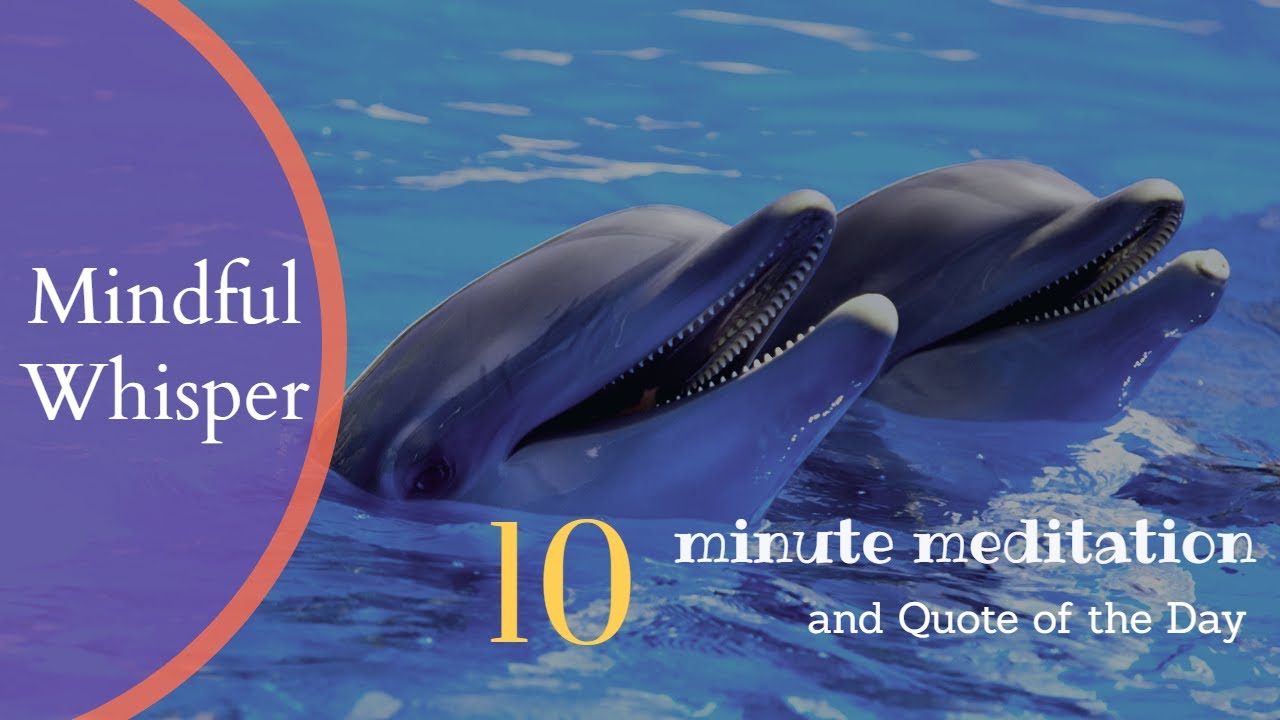 05/31 Mindfulness Meditation music, Meditation music, Relaxing PEACE ...