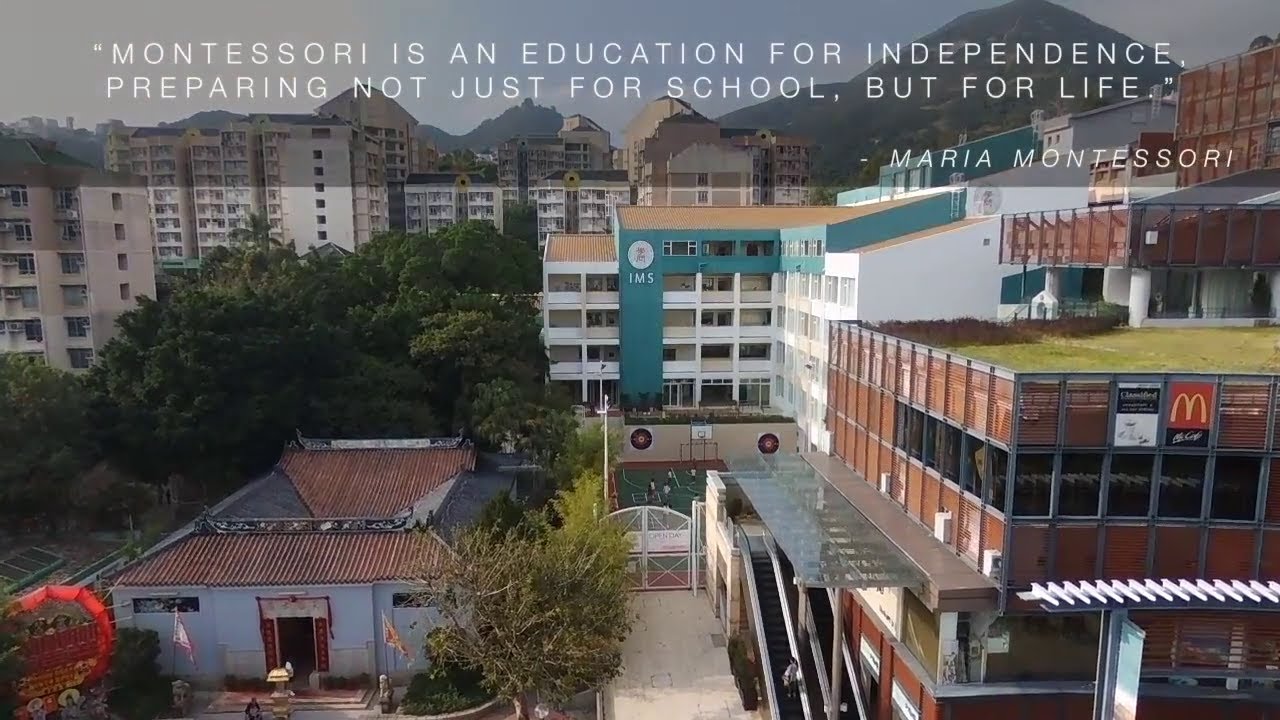 A Walkthrough of IMS Programmes - YouTube