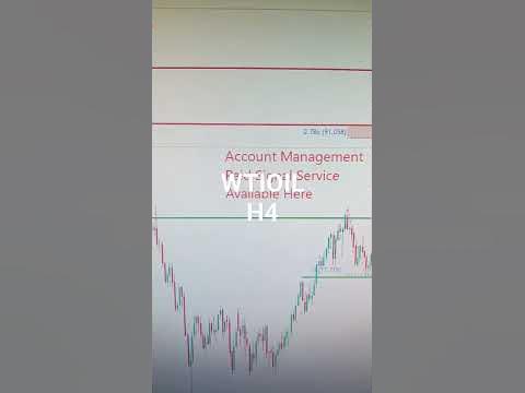 WTIOIL 18 SEP Monday 2023: Intraday Technical Setup By American Forex forecast,H4,Daily Analysis ...