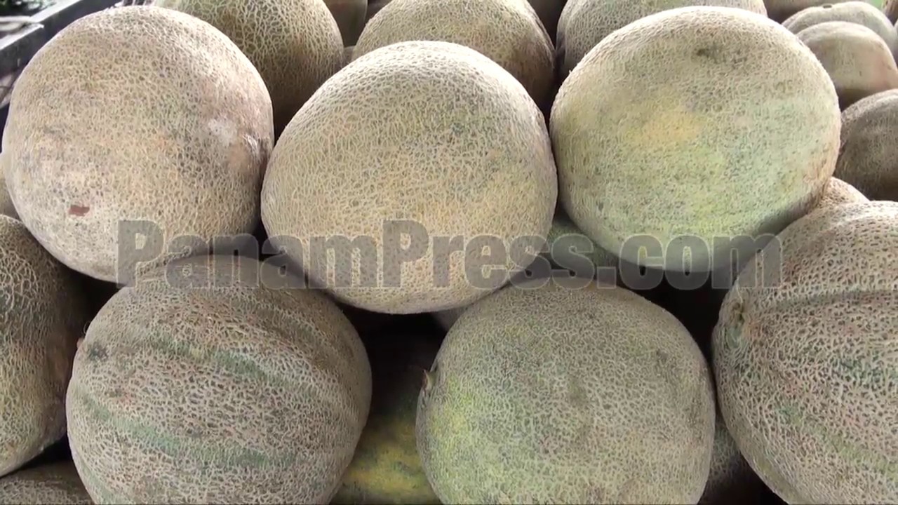 Melón - Mercado Municipal de Abastos - Panamá - YouTube