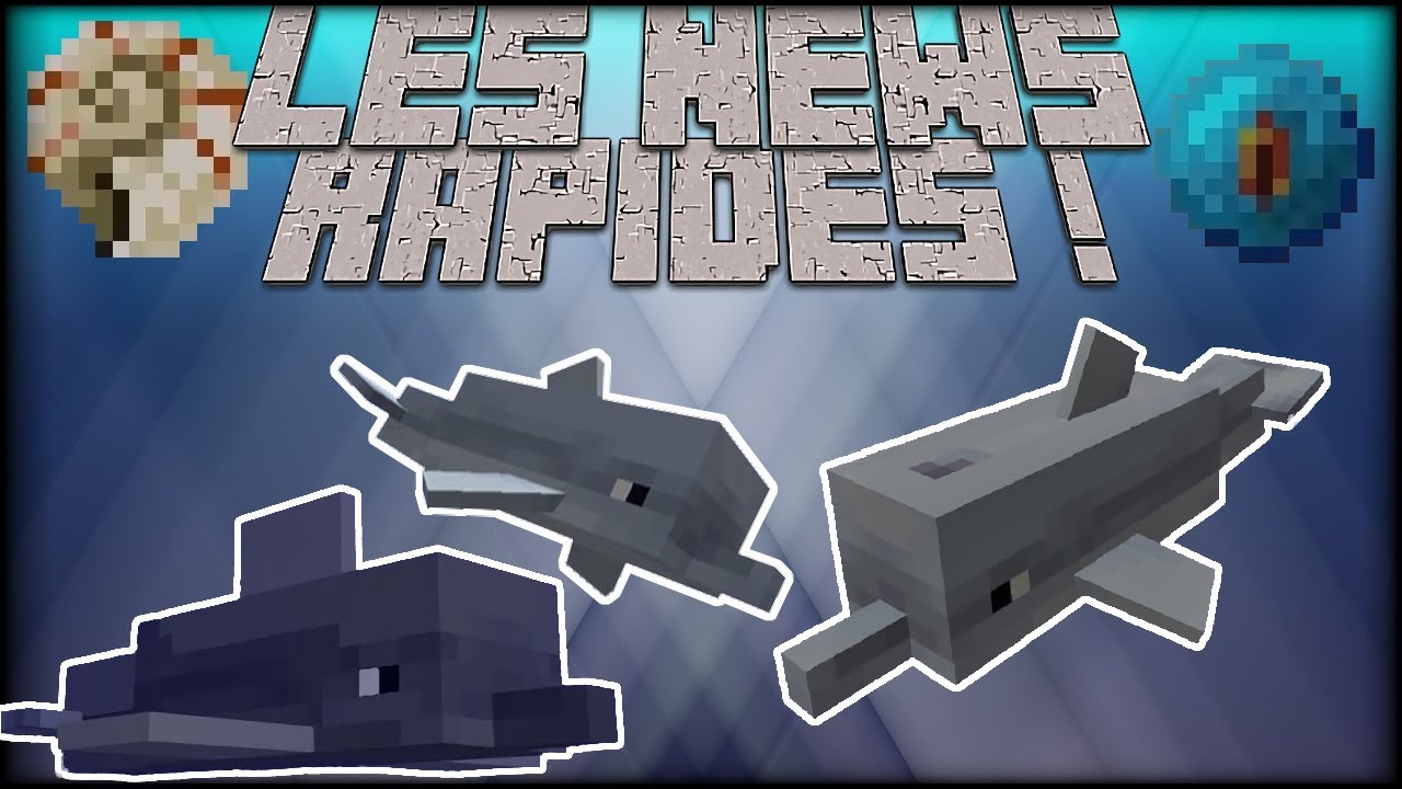 🐬 Enfin les dauphins ! (Minecraft Bedrock Beta test) - YouTube