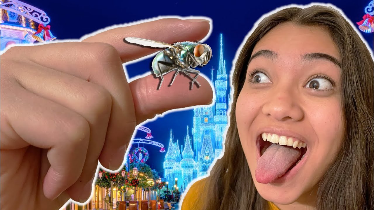 SHE ATE A FLY!!! - YouTube