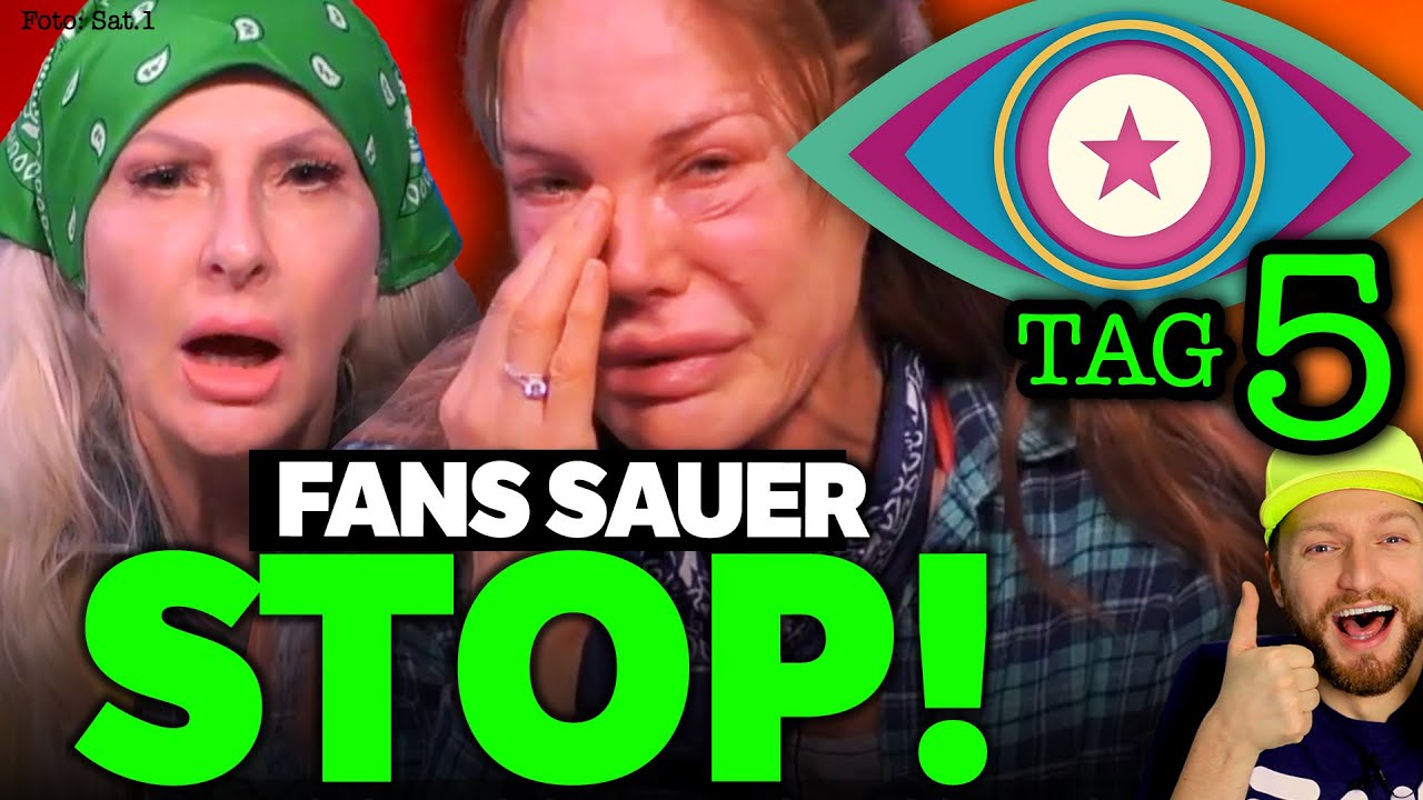 Fans FORDERN ABBRUCH 😤🤬 Désirée DEMÜTIGT Doreen! Promi Big Brother 2025 ...